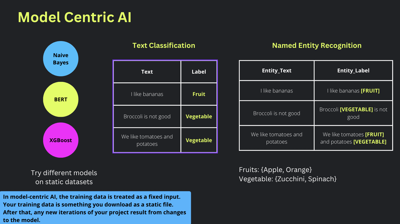 Model Centric AI - Anote